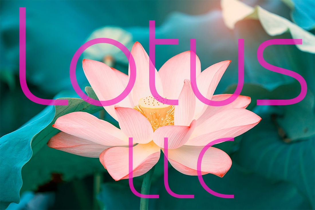 Lotus, LLC – Research and Identify Sustainable Solutions